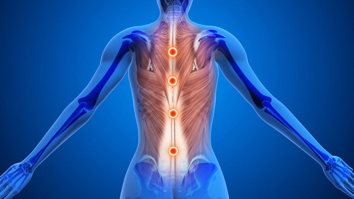 10 Back Pressure Points You Should Know for Stress Relief – Svago.com